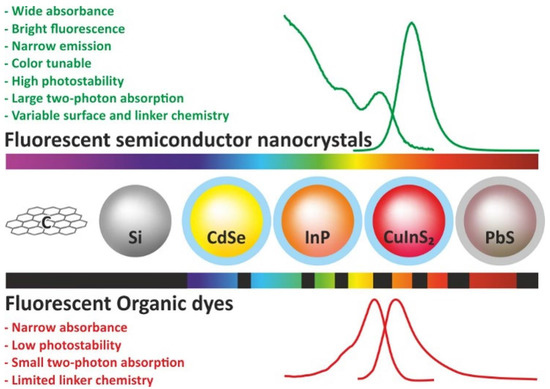 Pharmaceutics | Free Full-Text | Nontoxic Fluorescent Nanoprobes for ...