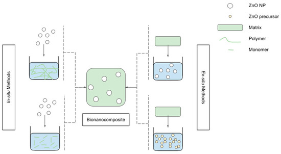 Pharmaceutics | Free Full-Text | Antimicrobial Nano-Zinc Oxide ...