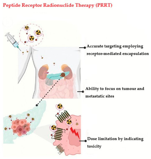 Advances in Radionuclides and Radiolabelled Peptides for Cancer ...