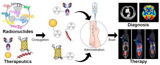 Advances in Radionuclides and Radiolabelled Peptides for Cancer ...