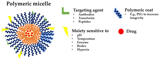 Polymeric Micellar Systems—A Special Emphasis on “Smart” Drug Delivery