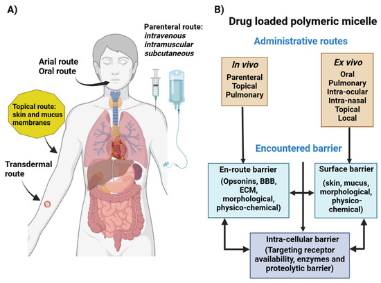Polymeric Micellar Systems—A Special Emphasis on “Smart” Drug Delivery