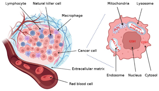 Polymeric Micellar Systems—A Special Emphasis on “Smart” Drug Delivery