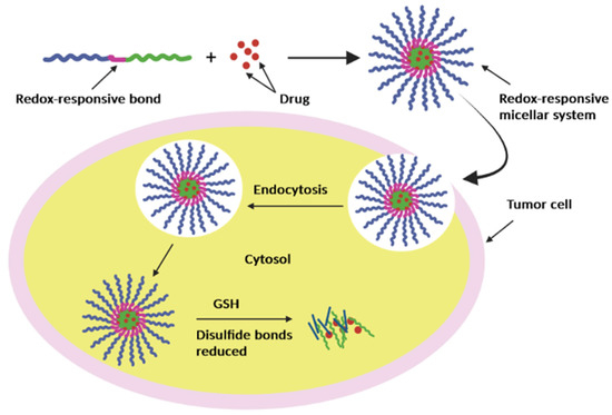 Polymeric Micellar Systems—A Special Emphasis on “Smart” Drug Delivery