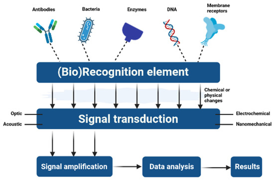 Polymeric Micellar Systems—A Special Emphasis on “Smart” Drug Delivery