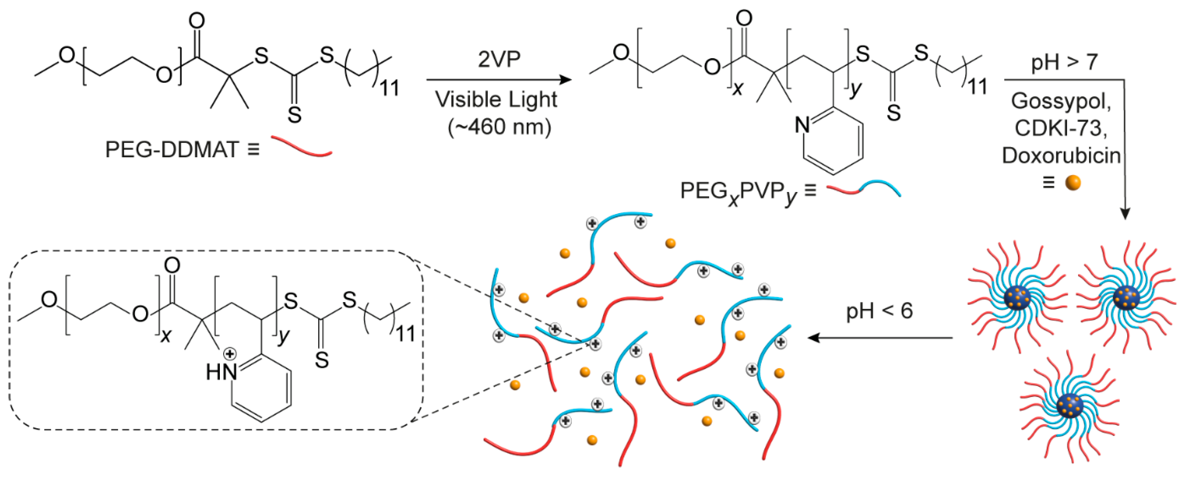 pH-Responsive Poly(ethylene glycol)-b-poly(2-vinylpyridine) Micelles ...