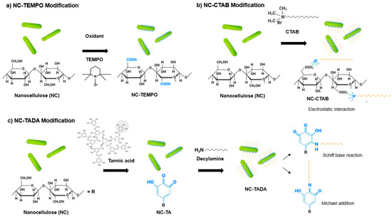 Design of Innovative Biocompatible Cellulose Nanostructures for the ...