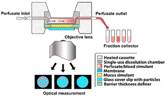 In Vitro Dissolution and Permeability Testing of Inhalation Products ...