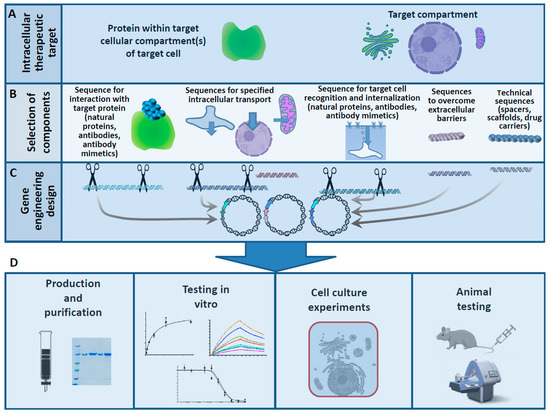Prospects of Using Protein Engineering for Selective Drug Delivery into ...