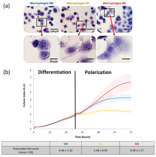 Targeting Glioblastoma-Associated Macrophages for Photodynamic Therapy Using AGuIX®-Design ...