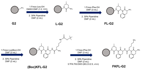 Conjugation of Short Oligopeptides to a Second-Generation ...