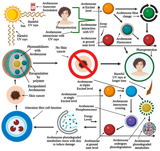 Drug Delivery Strategies for Avobenzone: A Case Study of Photostabilization