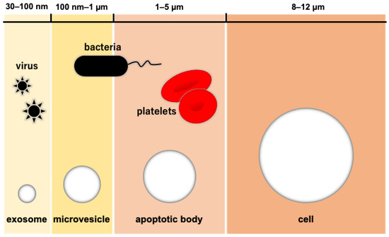The Potential Use of Exosomes in Anti-Cancer Effect Induced by ...
