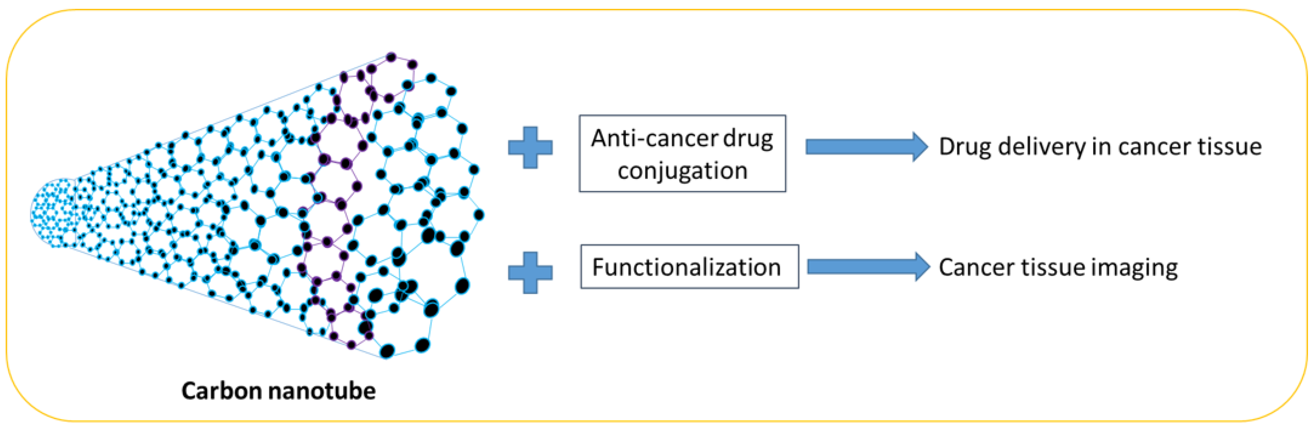 Nanotechnology in Cancer Diagnosis and Treatment