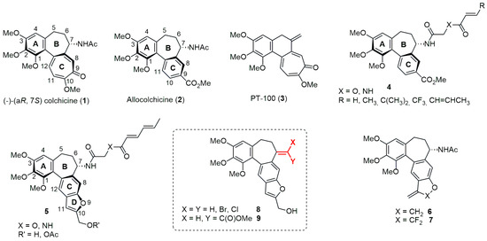 Design, Synthesis and In Vitro Biological Activity of Novel C-7 ...