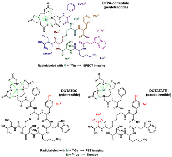 Pharmaceutics | Free Full-Text | 225Ac-Labeled Somatostatin Analogs in ...