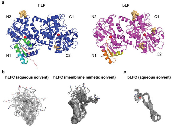 Time to Kill and Time to Heal: The Multifaceted Role of Lactoferrin and ...
