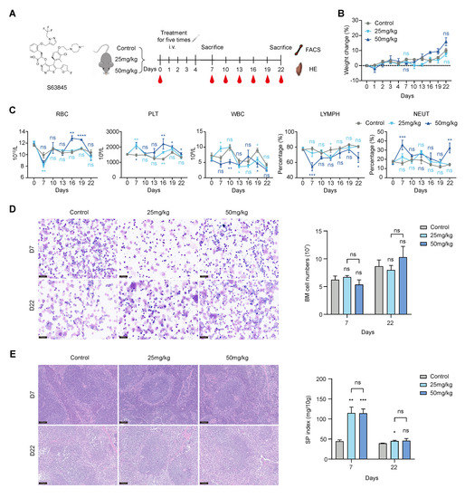 MCL-1 Inhibitor S63845 Distinctively Affects Intramedullary and ...