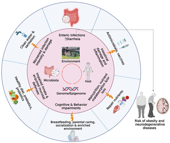 ApoE Mimetic Peptides to Improve the Vicious Cycle of Malnutrition and ...