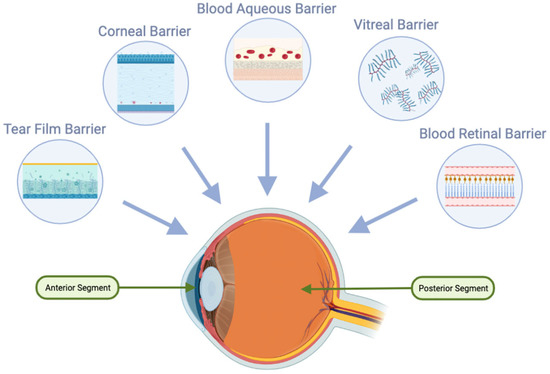 Overcoming Treatment Challenges in Posterior Segment Diseases with Biodegradable Nano-Based Drug ...