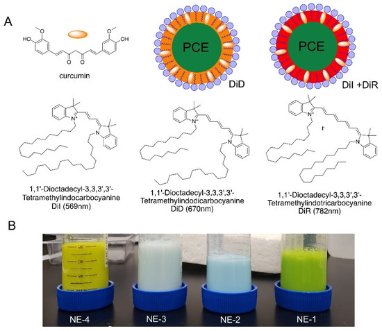 Multiple Linear Regression Predictive Modeling of Colloidal and ...