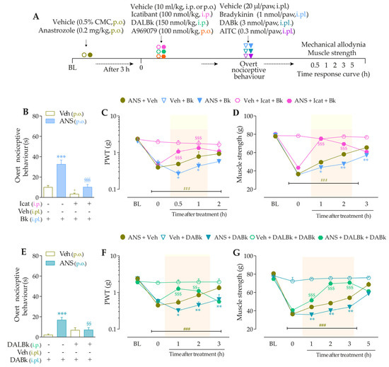 Kinin B2 and B1 Receptors Activation Sensitize the TRPA1 Channel ...