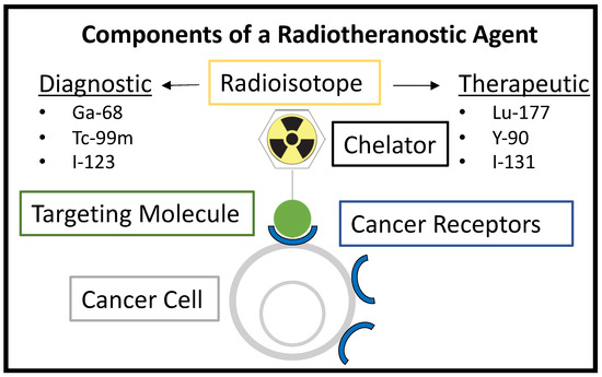 Intra-Arterial Delivery of Radiopharmaceuticals in Oncology: Current ...