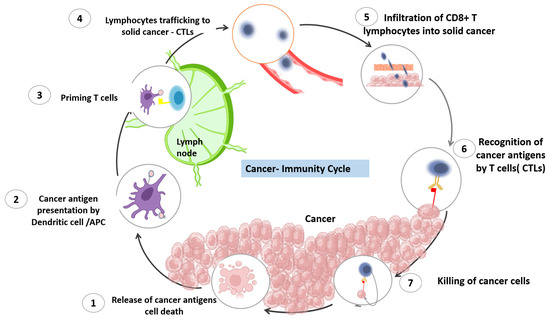 Cancer Resistance to Immunotherapy: Comprehensive Insights with Future ...