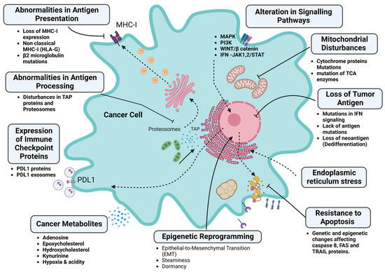 Cancer Resistance to Immunotherapy: Comprehensive Insights with Future ...