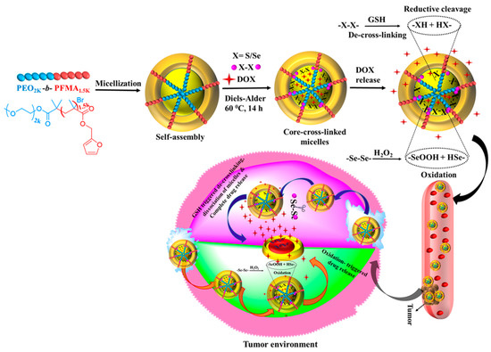 Redox-Responsive Comparison of Diselenide and Disulfide Core-Cross ...
