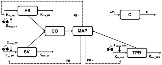 Evaluation of a Cardiovascular Systems Model for Design and Analysis of ...
