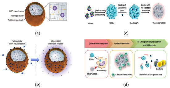 Recent Advances in Strategies to Combat Bacterial Drug Resistance ...