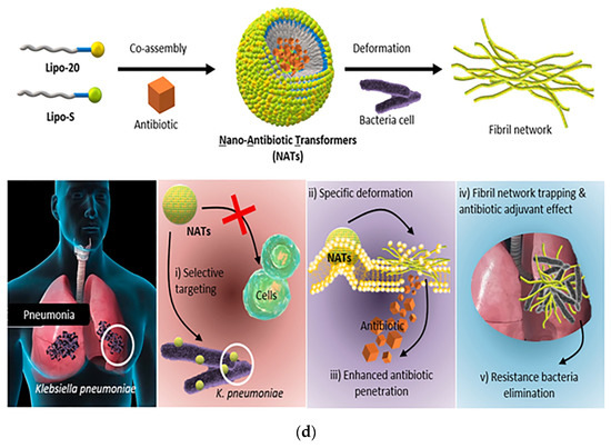 Recent Advances in Strategies to Combat Bacterial Drug Resistance ...