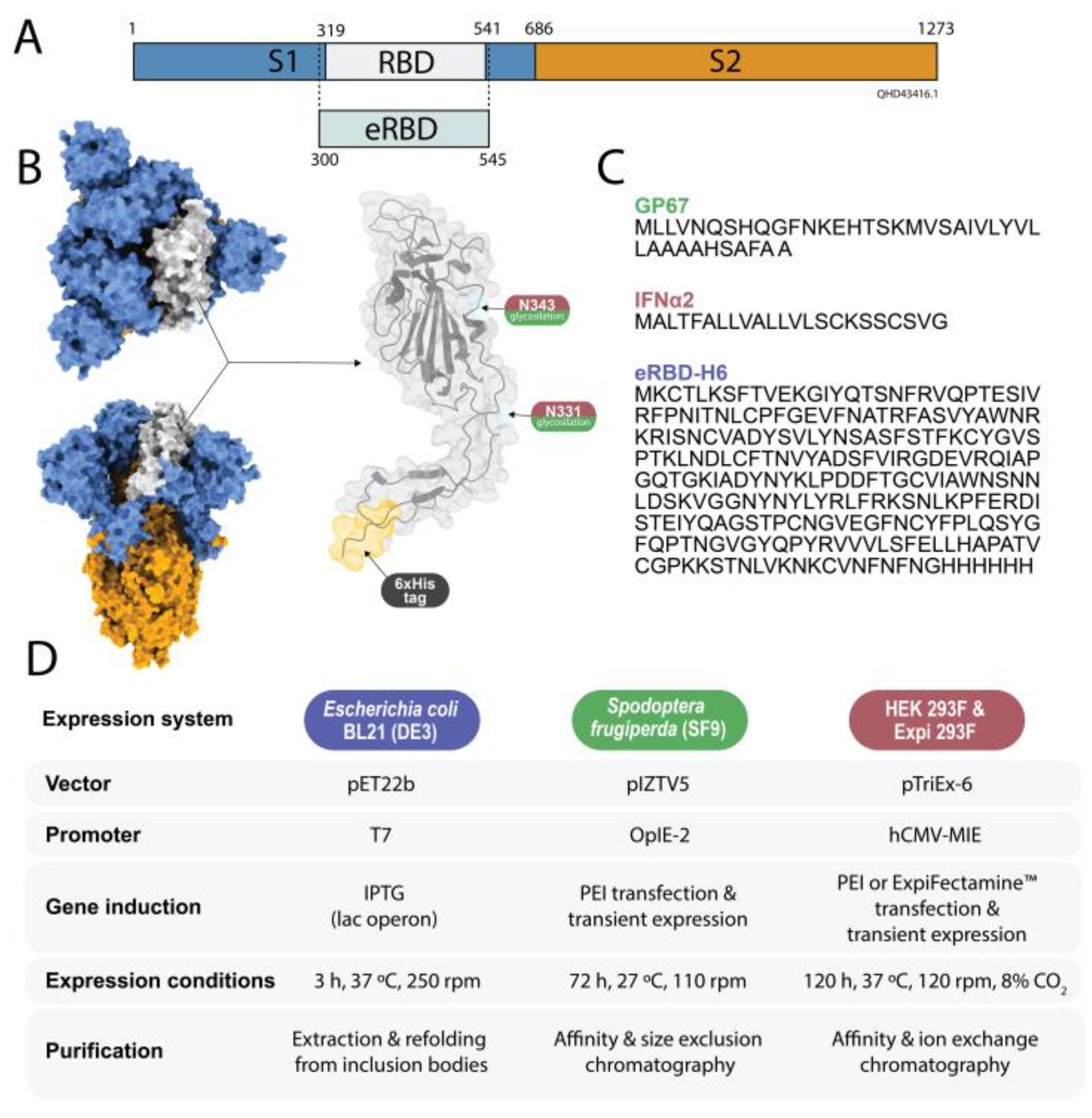 Recombinant Proteins for Assembling as Nano- and Micro-Scale Materials ...