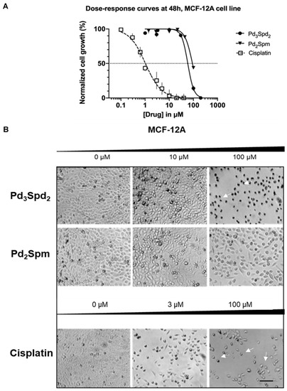 Pd(II) and Pt(II) Trinuclear Chelates with Spermidine: Selective ...