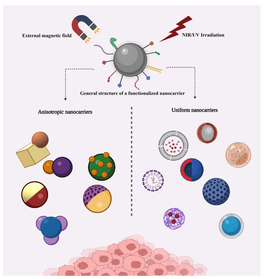 Dual-Drug Delivery by Anisotropic and Uniform Hybrid Nanostructures: A ...