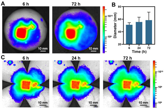 Biocontrol Microneedle Patch: A Promising Agent for Protecting Citrus ...