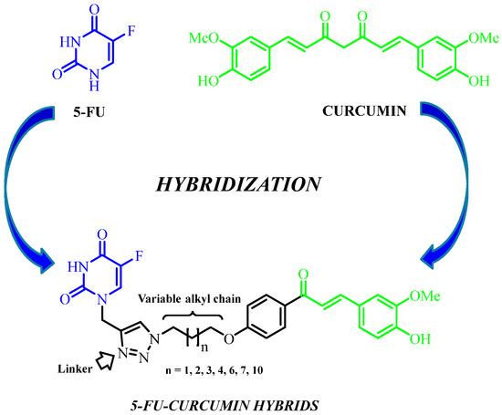 Pharmaceutics | Free Full-Text | New Hybrid Scaffolds Based on 5-FU ...