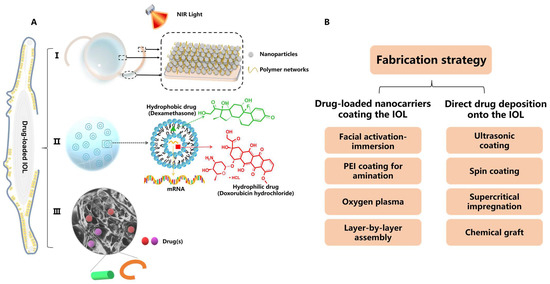 Clinical Translation of Long-Acting Drug Delivery Systems for Posterior ...