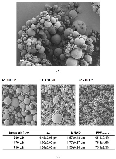 Pulmonary Application of Novel Antigen-Loaded Chitosan Nano-Particles ...