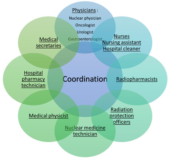 Safety and Therapeutic Optimization of Lutetium-177 Based ...
