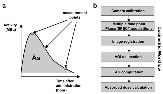 Pharmaceutics | Free Full-Text | Safety and Therapeutic Optimization of Lutetium-177 Based ...
