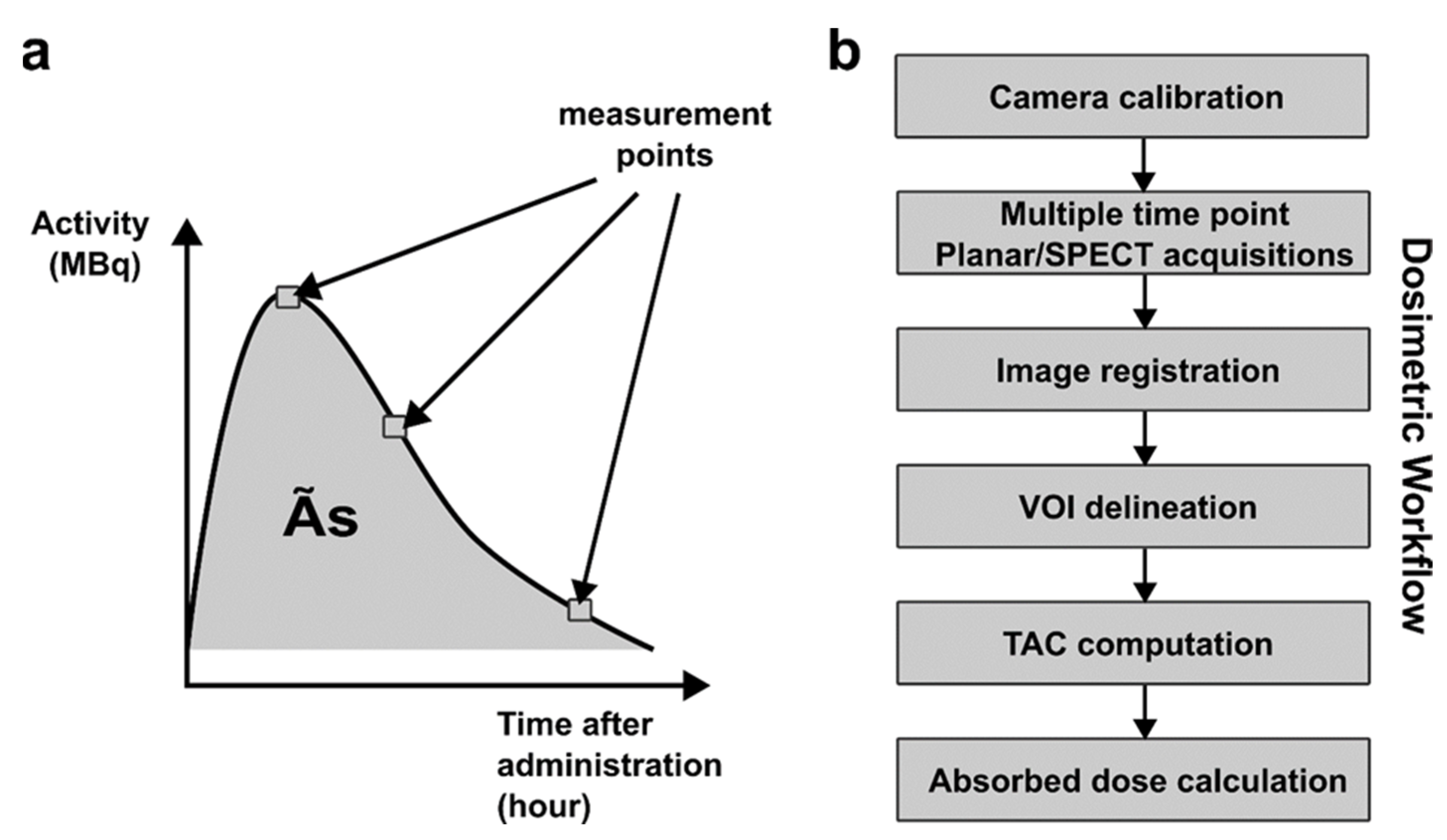 Pharmaceutics | Free Full-Text | Safety and Therapeutic Optimization of Lutetium-177 Based ...