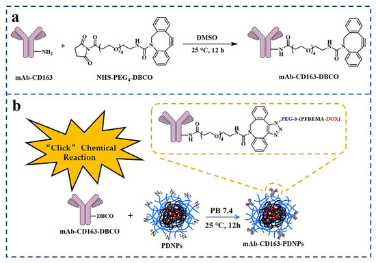 CD163 Monoclonal Antibody Modified Polymer Prodrug Nanoparticles for ...