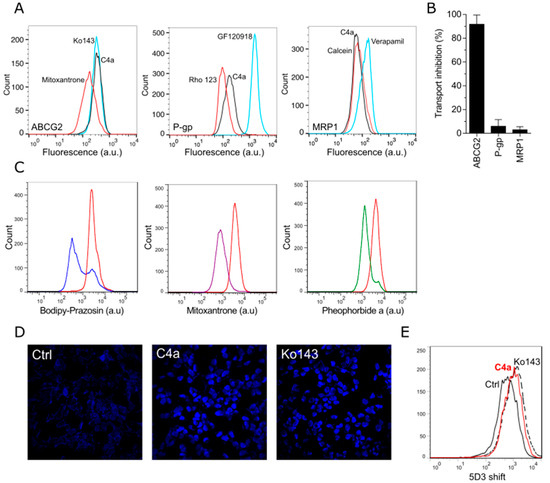 Characterization of Potent ABCG2 Inhibitor Derived from Chromone: From ...