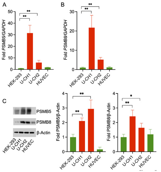 High-Throughput/High Content Imaging Screen Identifies Novel Small Molecule Inhibitors and ...