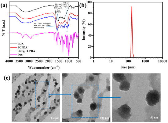 Doxorubicin-Loaded Fungal-Carboxymethyl Chitosan Functionalized Polydopamine Nanoparticles for ...