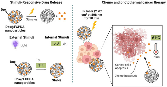 Doxorubicin-Loaded Fungal-Carboxymethyl Chitosan Functionalized Polydopamine Nanoparticles for ...