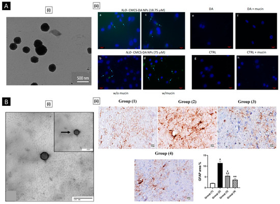 Pharmaceutics | Free Full-Text | Chitosan: A Potential Biopolymer in ...