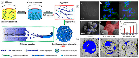 Pharmaceutics | Free Full-Text | Chitosan: A Potential Biopolymer in ...